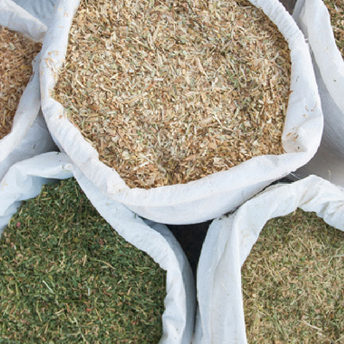 Nitschke Chaff – Mbhorsesupplies