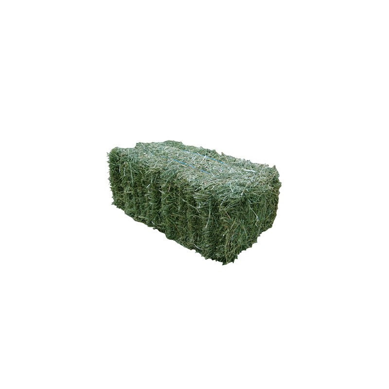 Lucerne Bale – Mbhorsesupplies