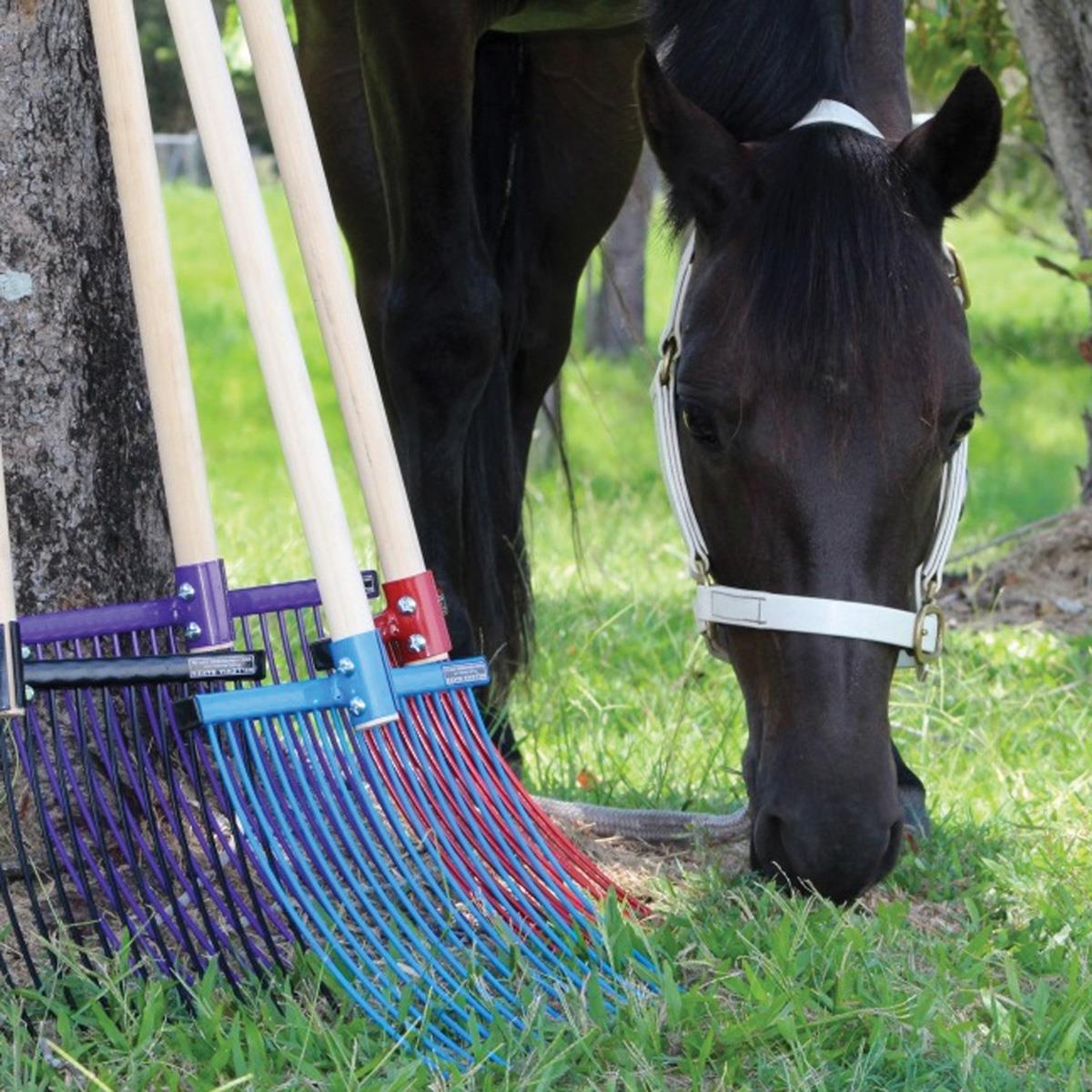 Millenia Rakes – Mbhorsesupplies